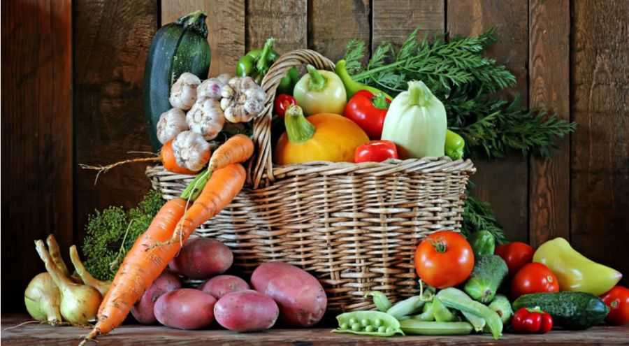 panier de fruits et légumes maine et loire 49 panier de fruits et légumes maine et loire 49